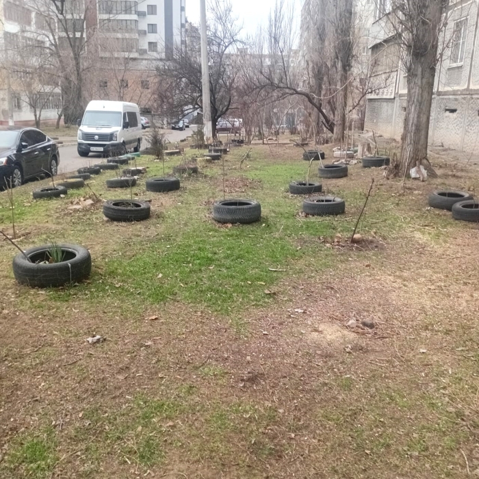 У Миколаєві очистили територію біля будинку «прикрашену шинами