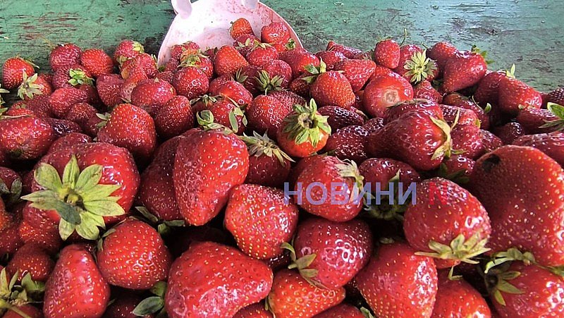 Черешня уже по 50 гривен: актуальные цены на овощи и фрукты на рынках ...